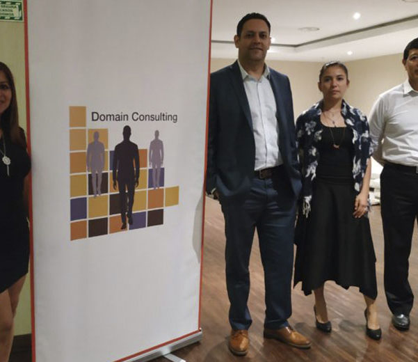 Domain Consulting – IT Services