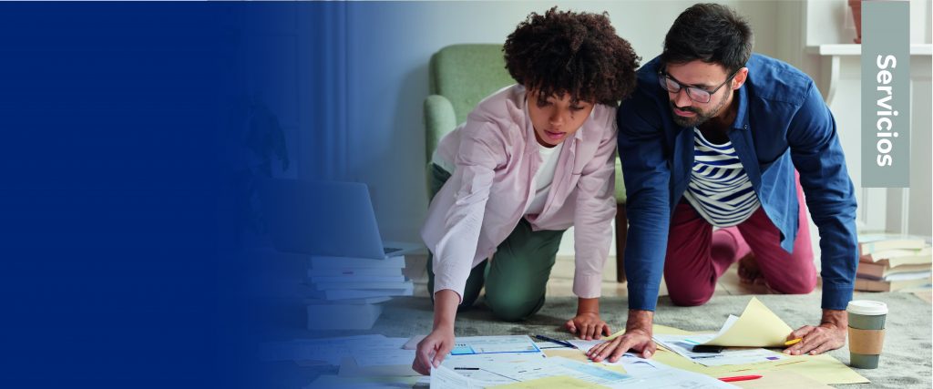 Domain Consulting – IT Services