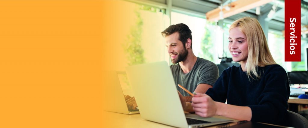 Domain Consulting – IT Services